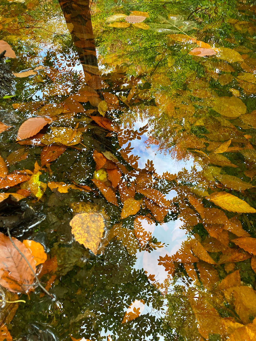 MTL PHOTO - Benoit Perreault